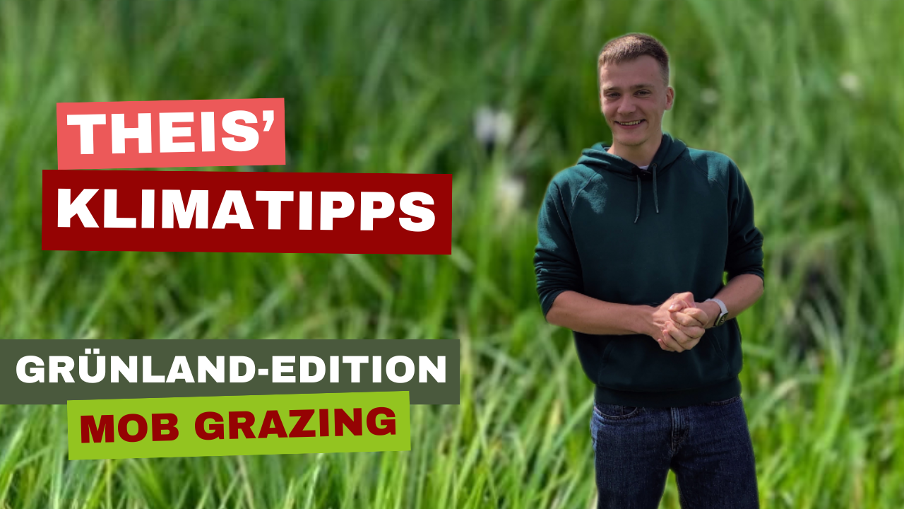 Mob Grazing - Grünlandzentrum